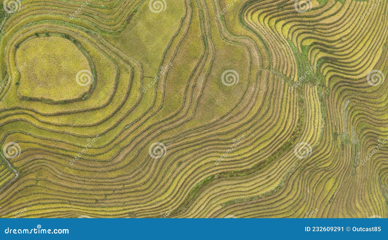 Top Down View of Rice Fields in China - Longji Stock Image - Image of ...
