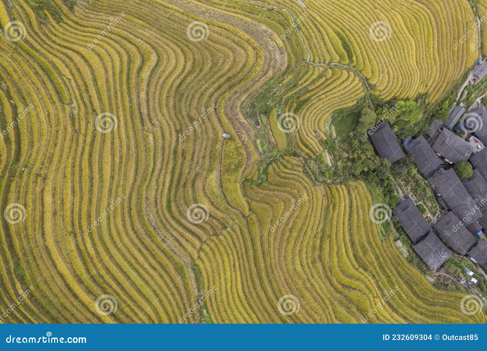 Top Down View of Rice Fields in China - Longji Stock Photo - Image of ...