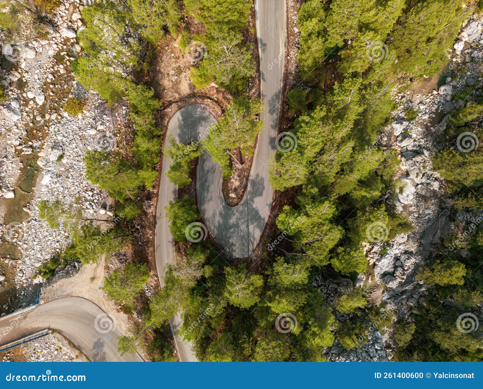 Top Down View of Road through Forest at Sunrise Stock Photo - Image of ...