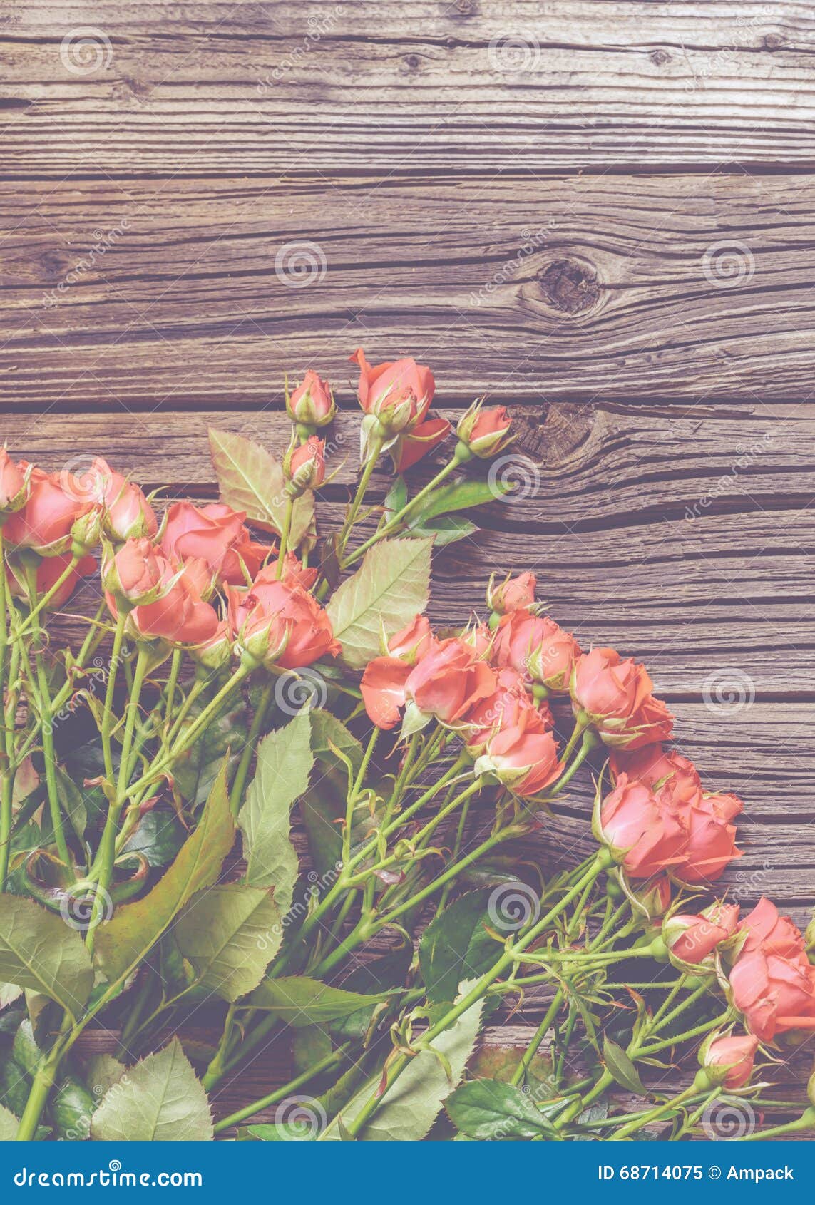 Top Down View on Rose Bundle on Wooden Surface Stock Image - Image of ...