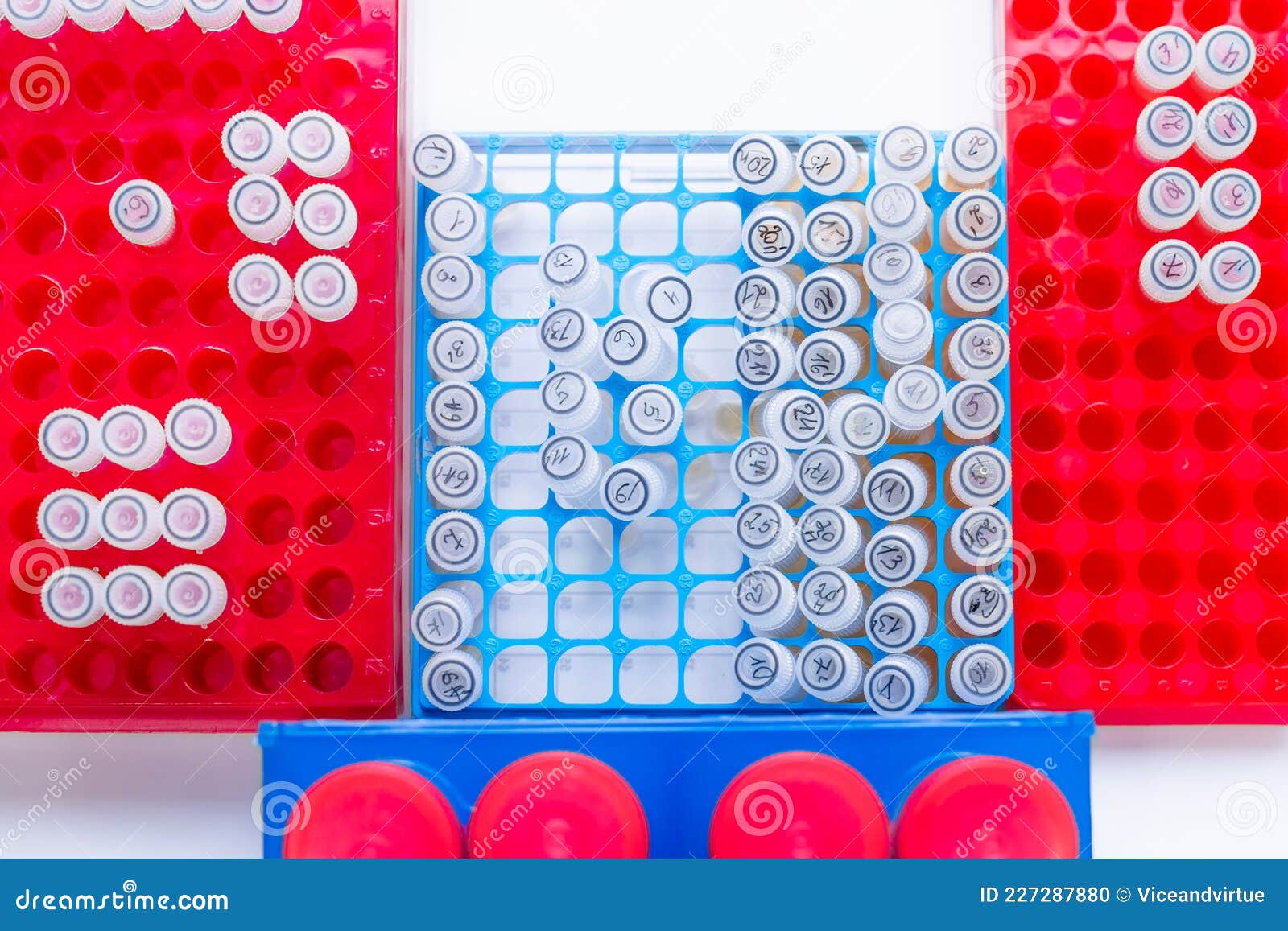 Top-down View of Test Tubes Boxes with Sample Liquied in the Medical ...
