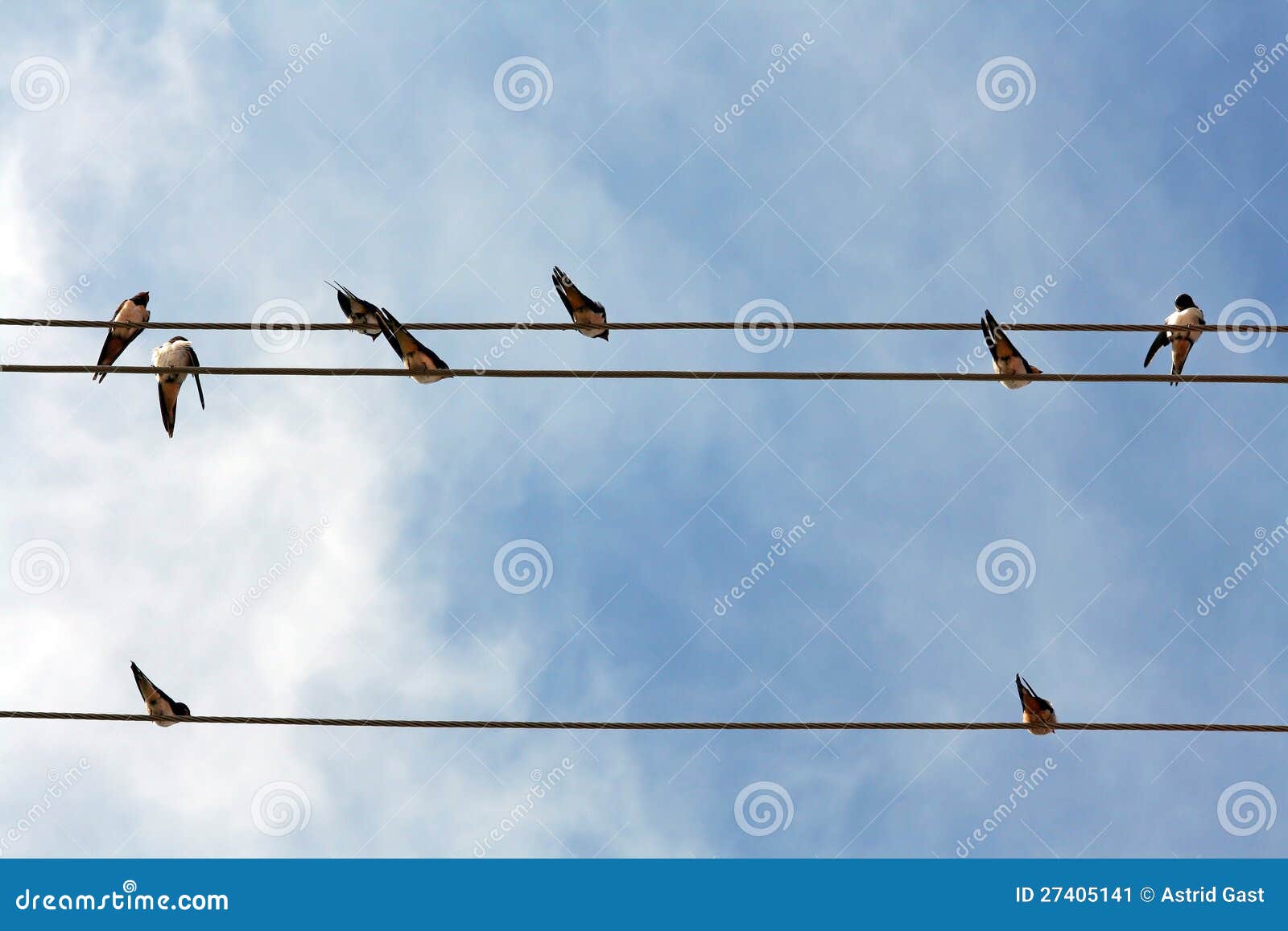 On Top on the Electric Cables Stock Image - Image of music, highly ...