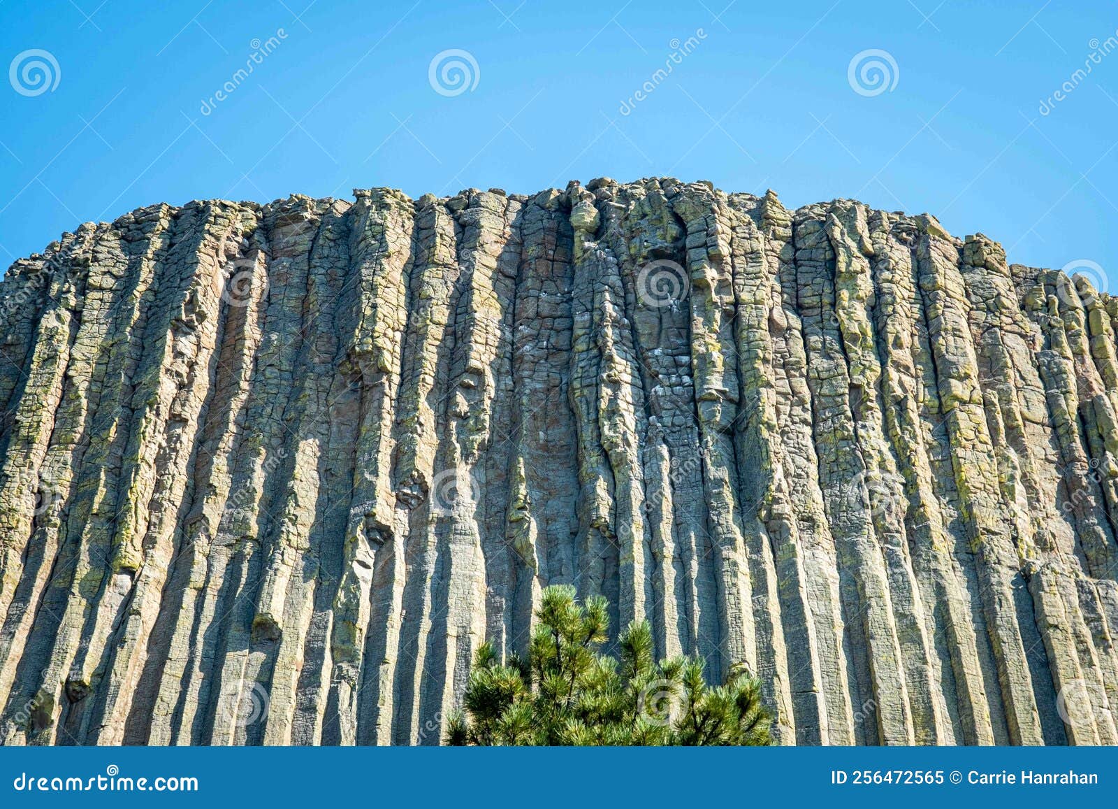 Devils Tower National Monument , Wyoming, USA Stock Image - Image of ...