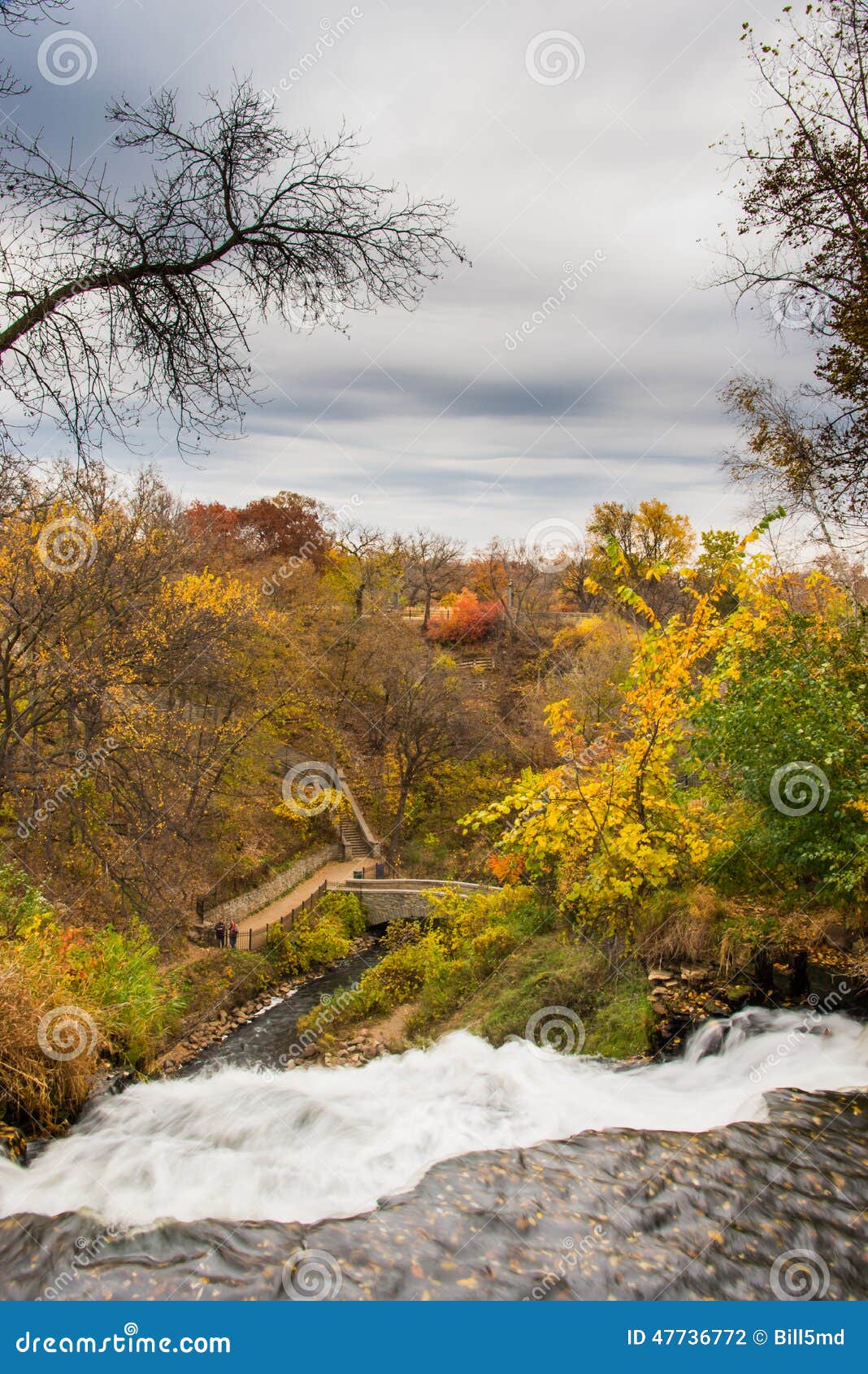 Top of the Falls stock photo. Image of falls, creek, nature - 47736772
