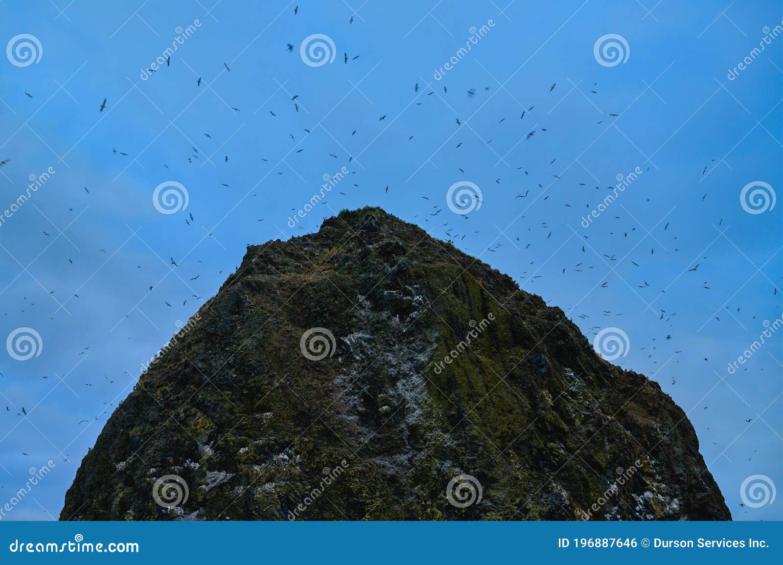 Top of Famous Haystack Rock in Cannon Beach with Birds Flying Around ...