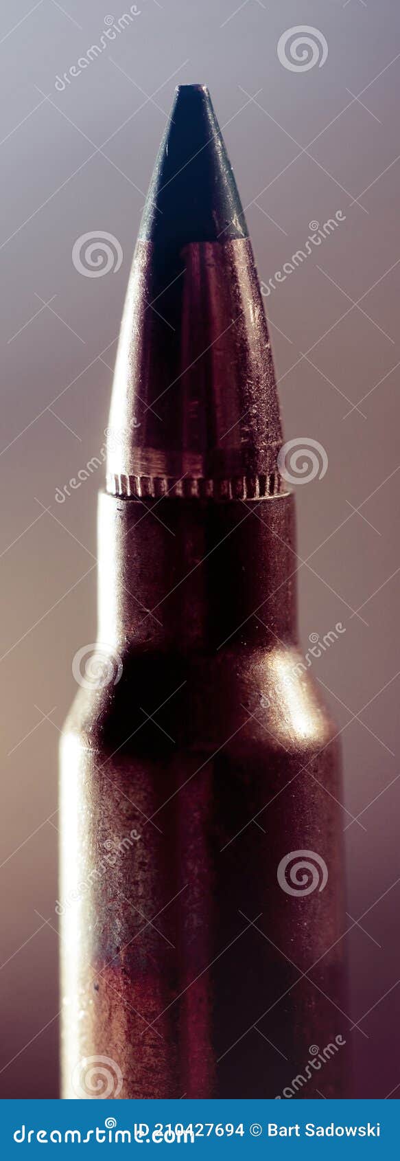 Vertical Image of a Single Rifle Bullet Stock Photo - Image of detail ...