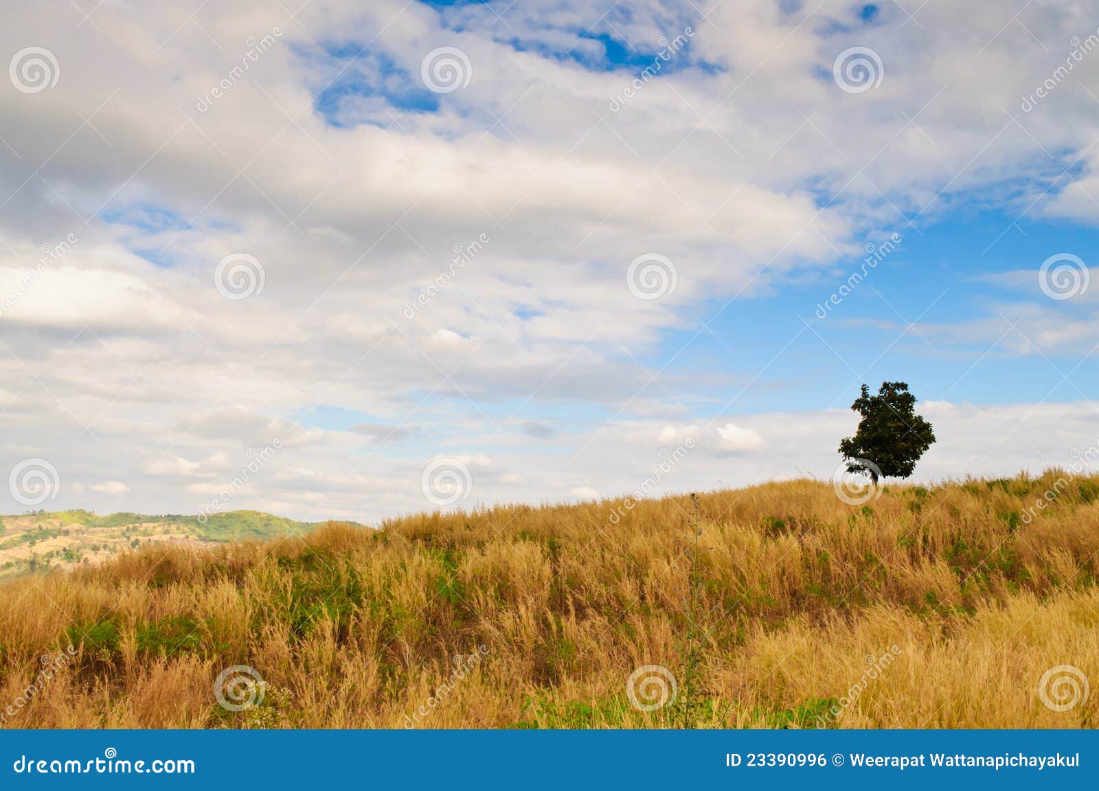 At the top of the hill stock photo. Image of cloud, grasses - 23390996