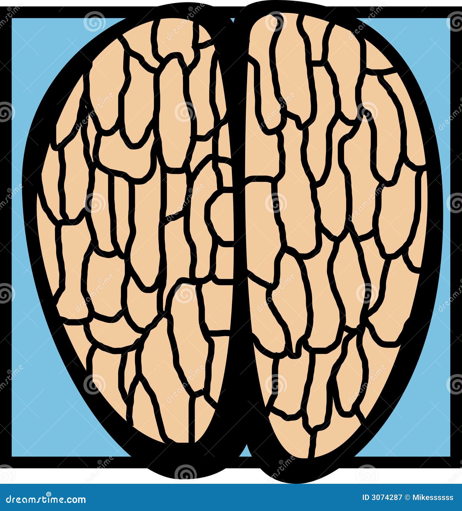 Top of Human Brain Vector Illustration Stock Vector - Illustration of ...