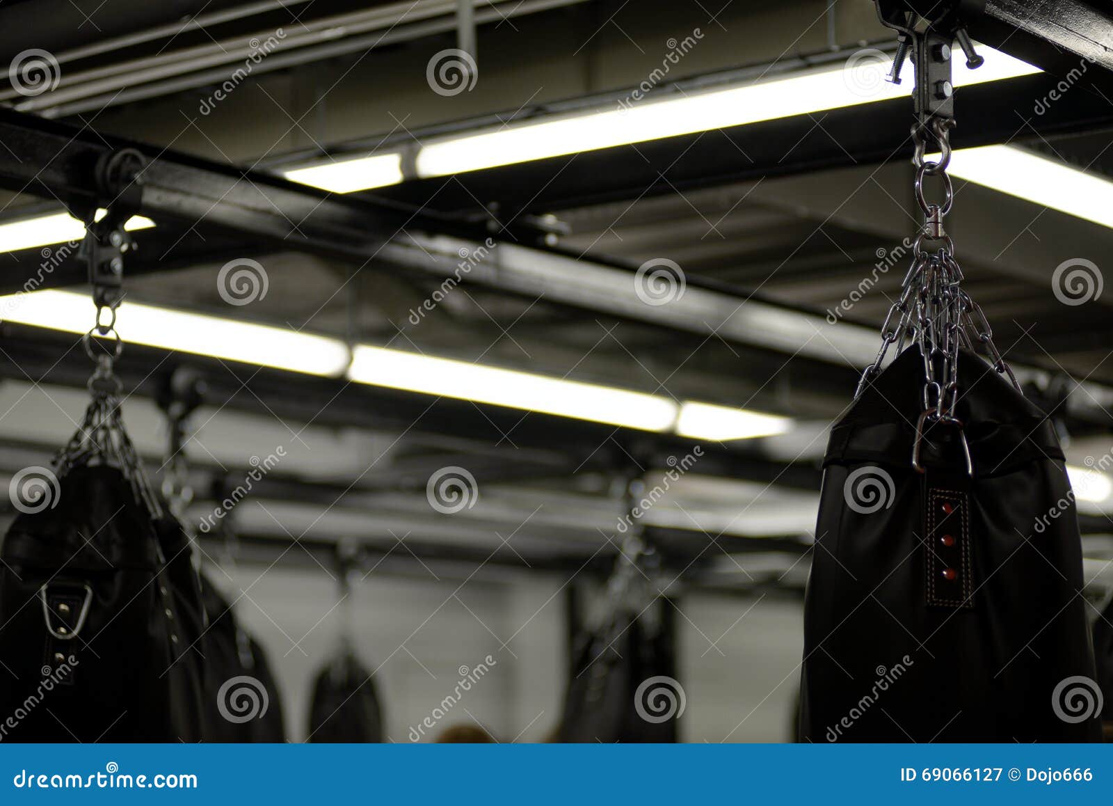 Top of Many Black Punching Bag for Boxing on a Chain Stock Image ...