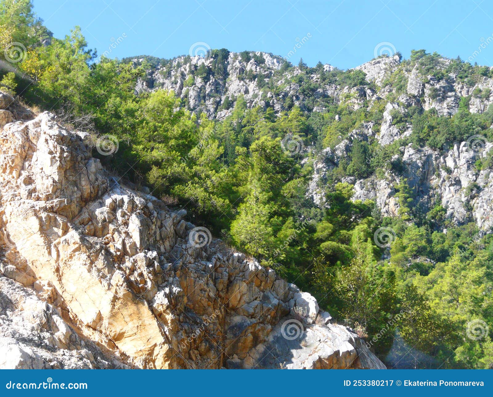 Top of the mountain, cleft stock image. Image of larch - 253380217