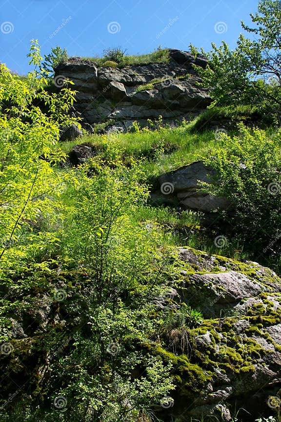Top of the Mountain with a Tree and Grass Around Stock Photo - Image of ...