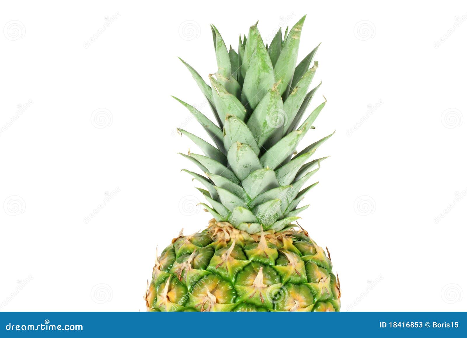 Top of the pineapple stock image. Image of isolated, nutrient - 18416853