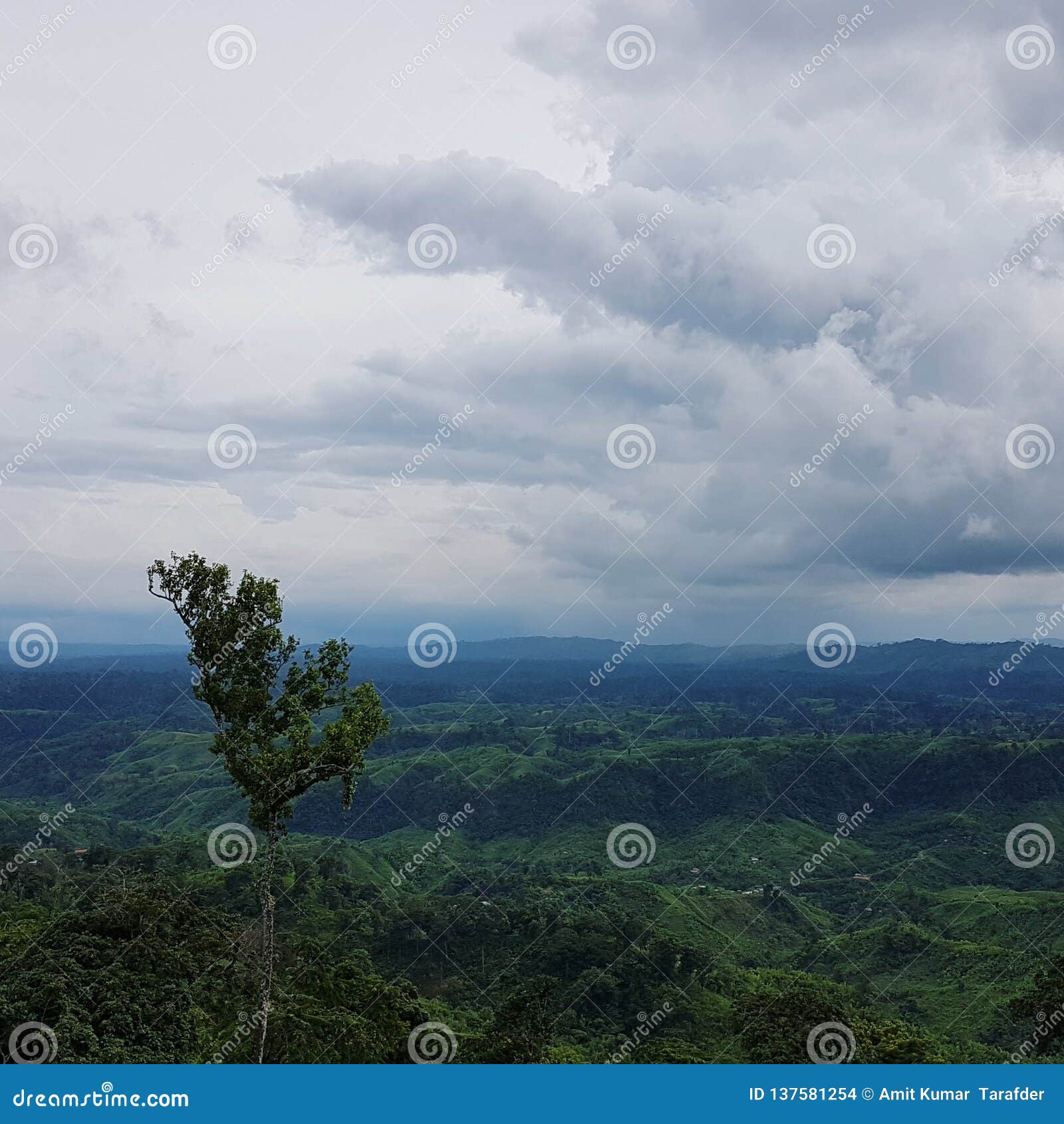 On top of Sajek stock photo. Image of view, sajek, mountain - 137581254