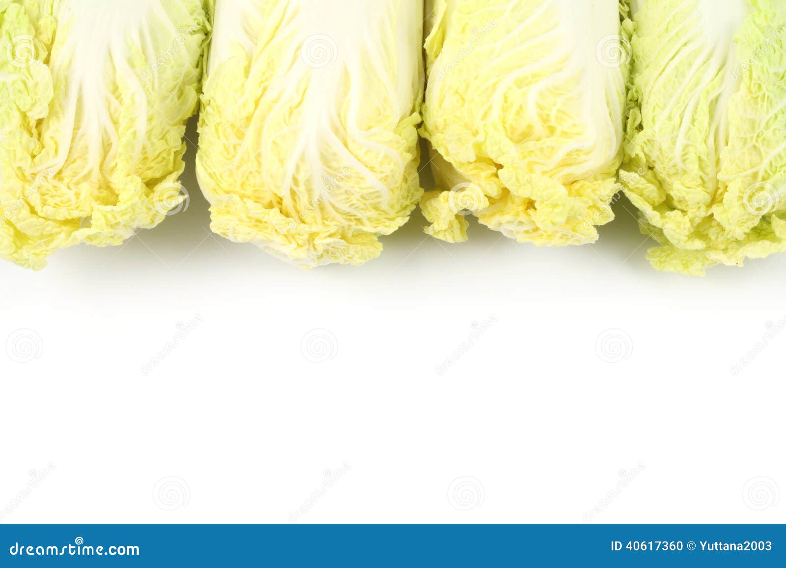 Top side Chinese cabbage stock photo. Image of chinese - 40617360