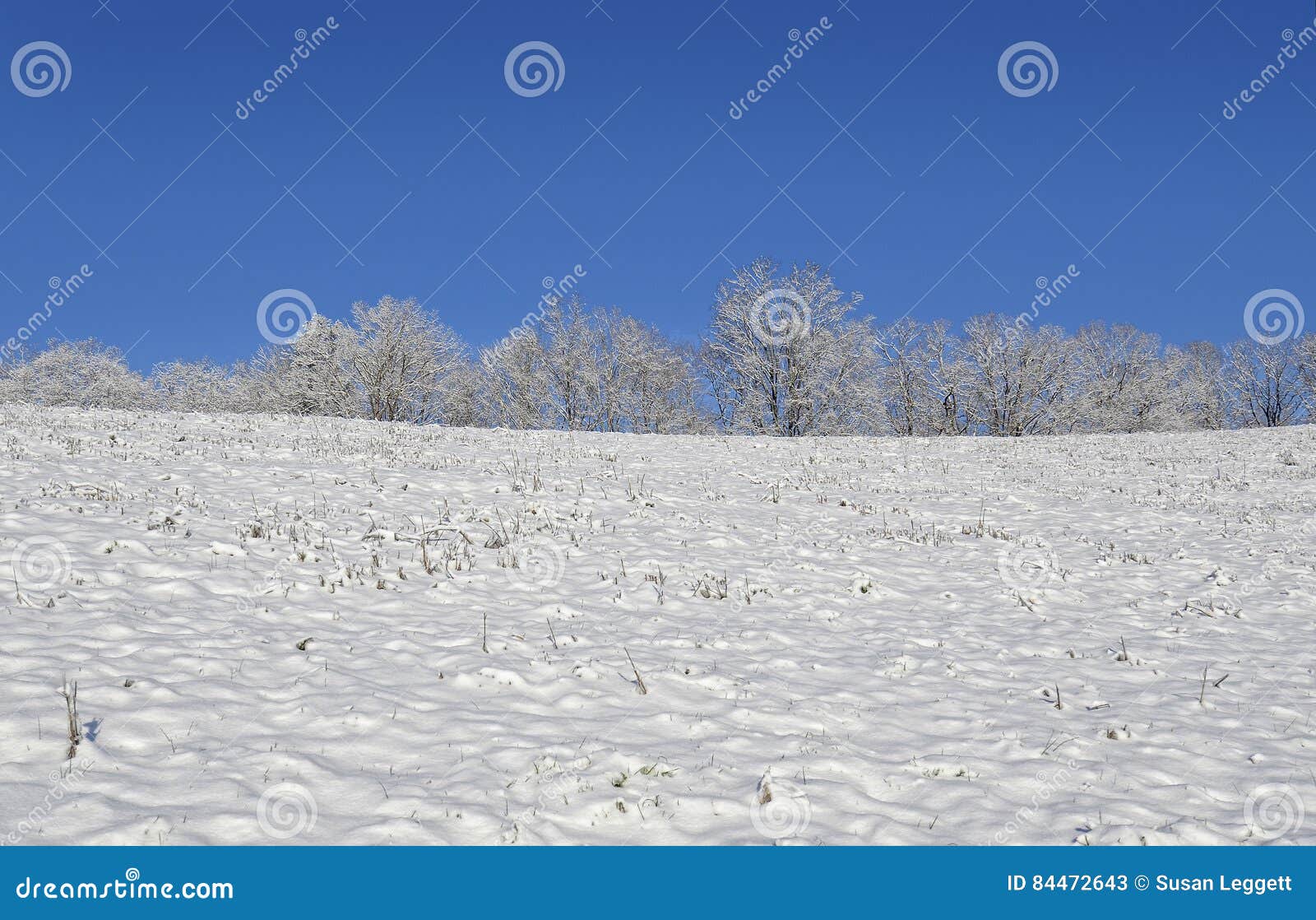 Top of a Snow Covered Hill stock image. Image of peak - 84472643