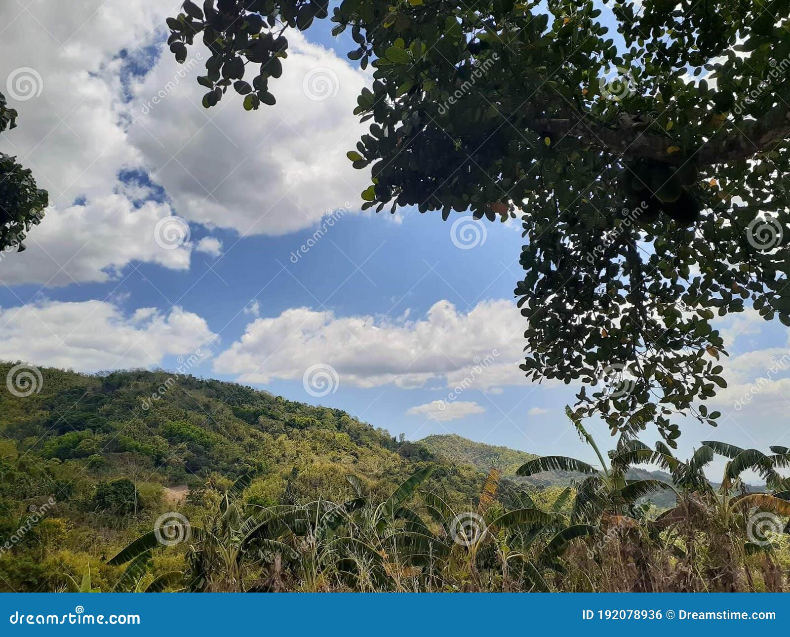 At the Top of the Star Mountains in Rodriguez Rizal Stock Photo - Image ...