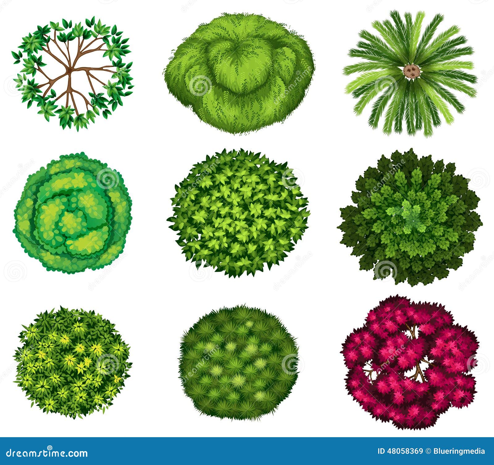 Top trees stock vector. Illustration of natural, aerial - 48058369