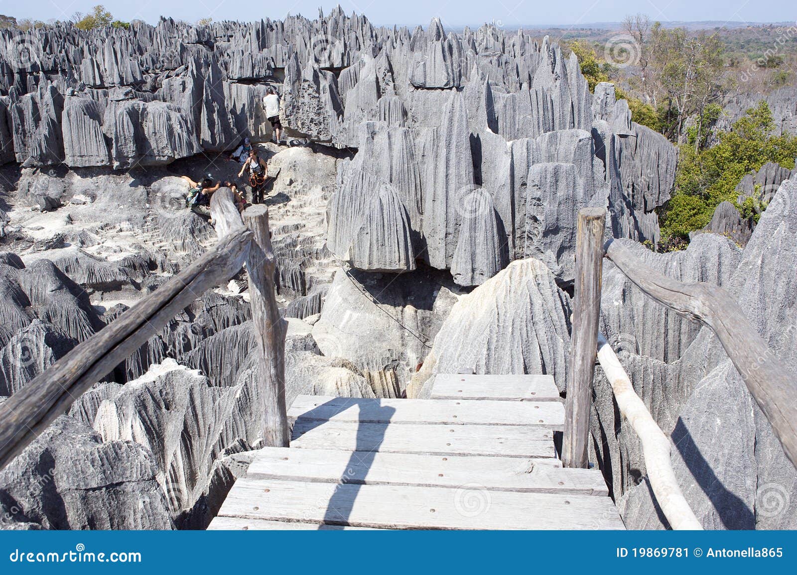 On the Top of the Tsingy De Bemaraha Editorial Photo - Image of ...