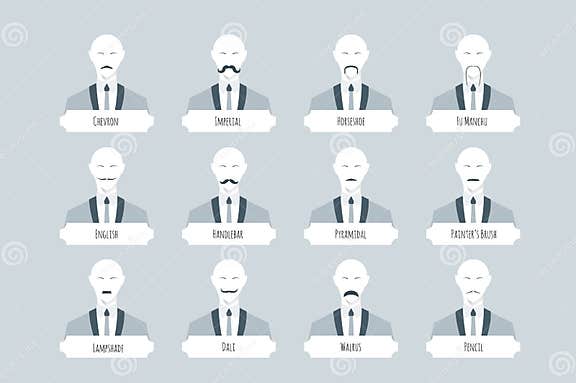 Top 12 Types of Mustache Styles, Shape, Density, and Styling. Stock ...