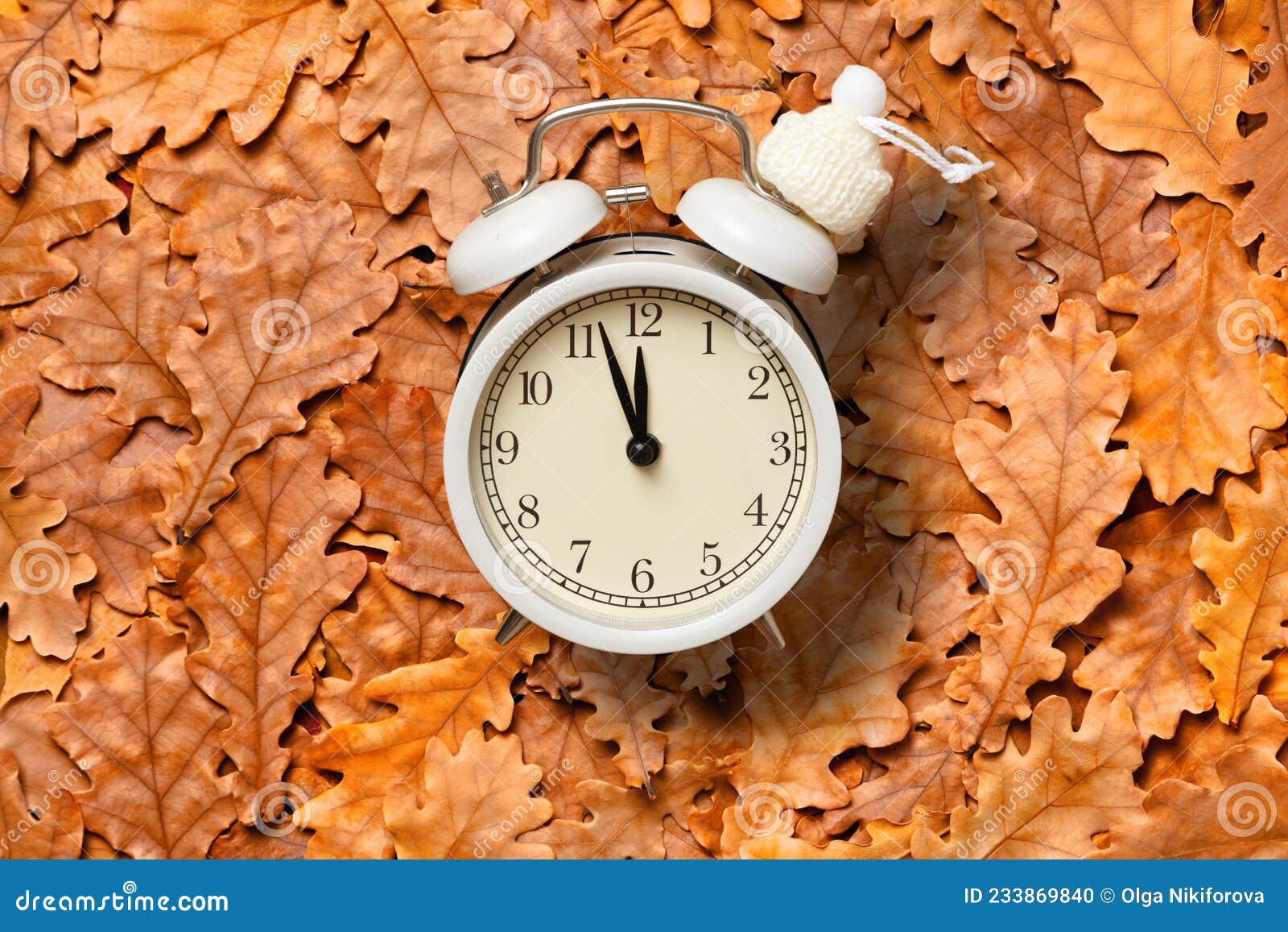 Top View of an Alarm Clock and Fallen Autumn Oak Leaves Stock Photo ...