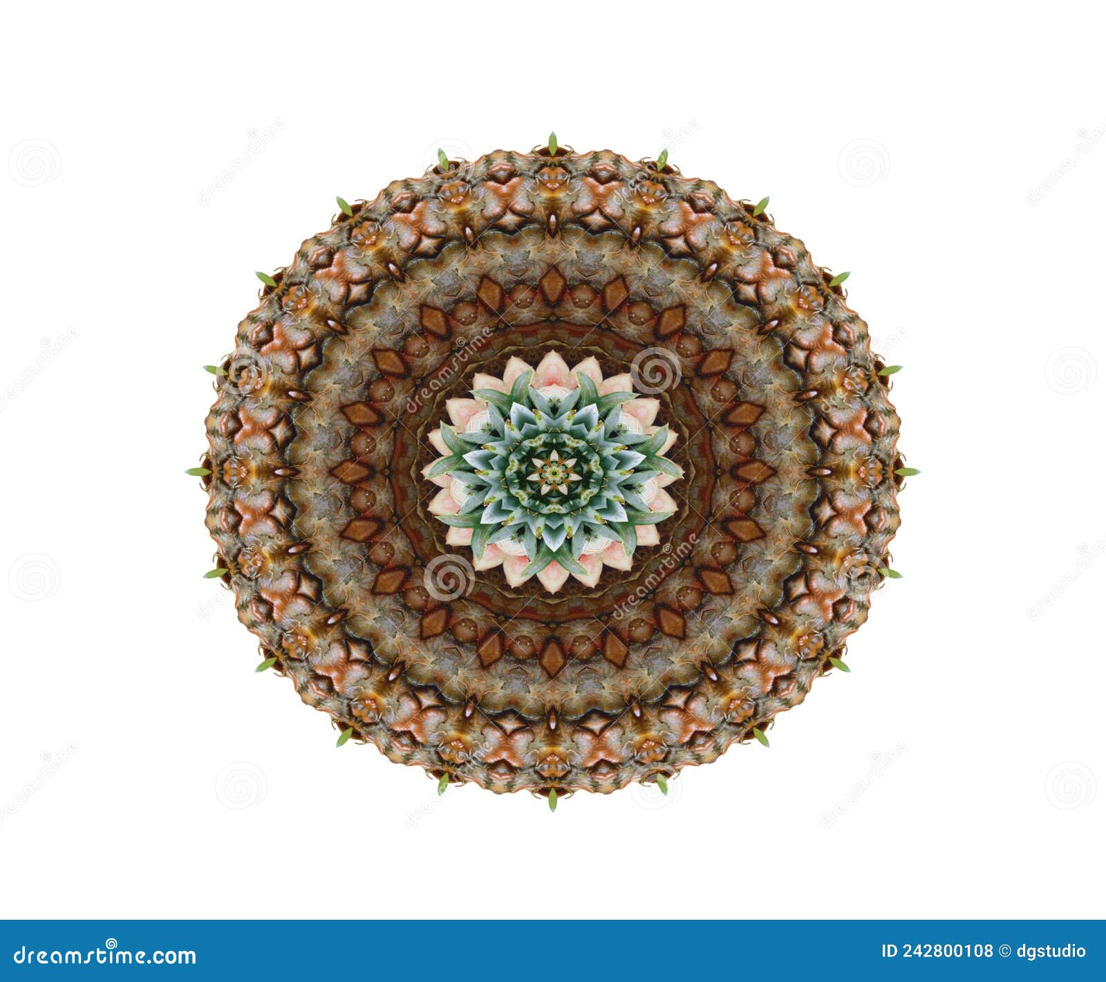 Ananas (PNG) stock photo. Image of expanse, maroon, circumference ...