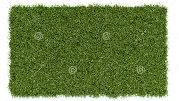 Top View Angle of Green Grass Meadow Stock Illustration - Illustration ...