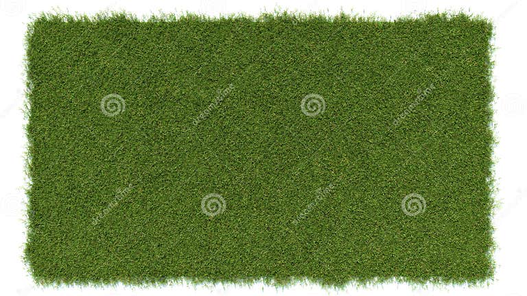 Top View Angle of Green Grass Meadow Stock Illustration - Illustration ...