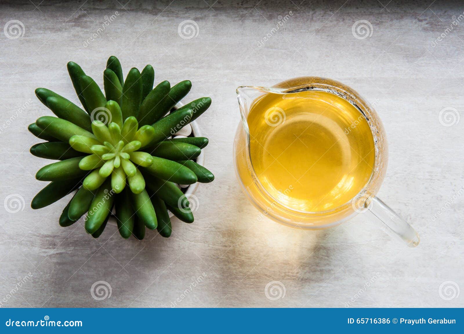 Top View of Artificial Cactus and Green Tea Stock Photo - Image of ...