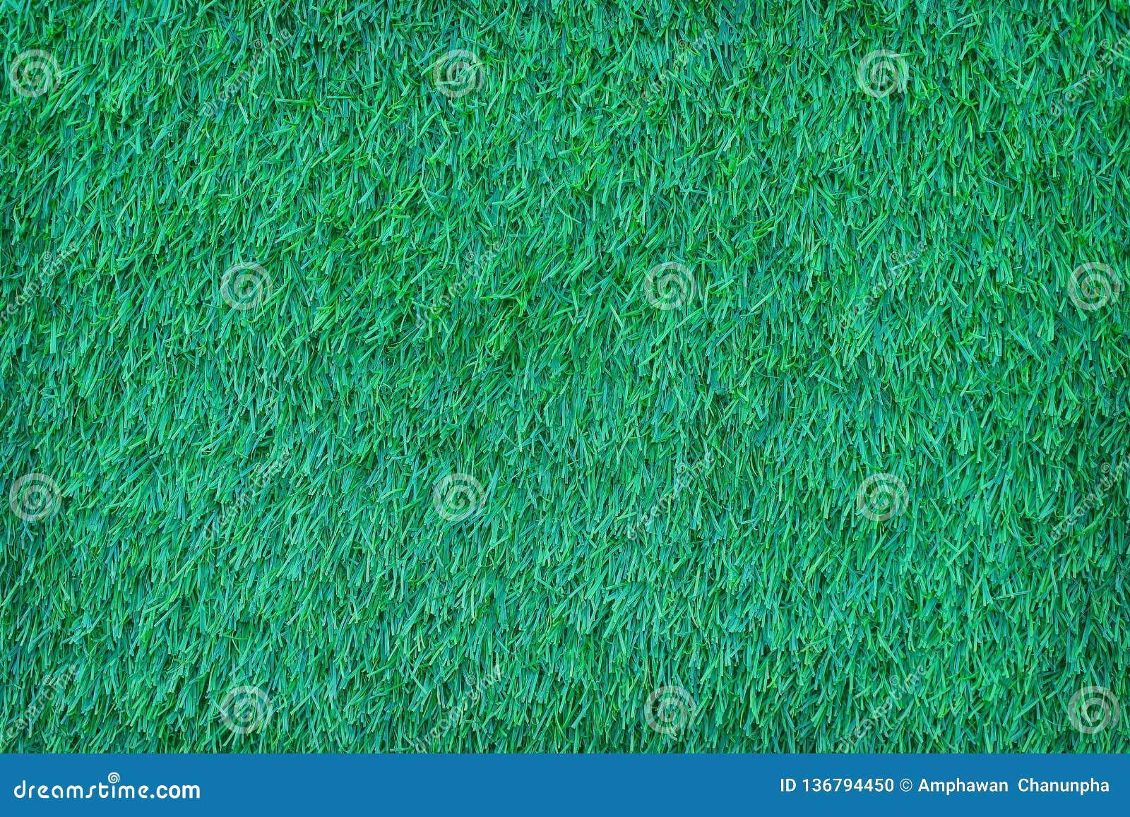 Top View Artificial Green Grass Patterns Texture Abstract for ...