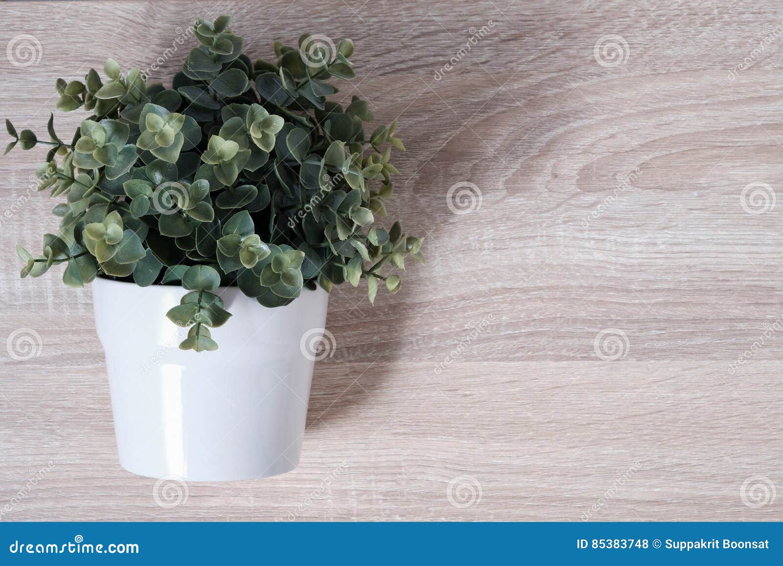 Top View of Artificial Potted Plant on Wooden Table Stock Photo - Image ...