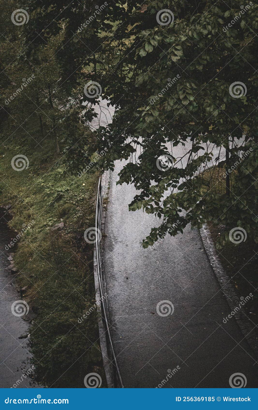 Top View of an Asphalt Road Stock Image - Image of beautiful, asphalt ...