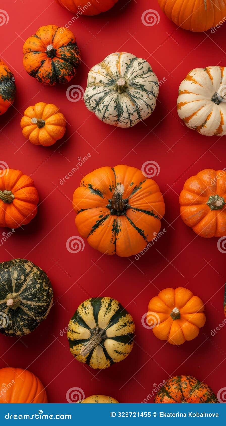 Top View of Assorted Decorative Pumpkins on Red Background with ...