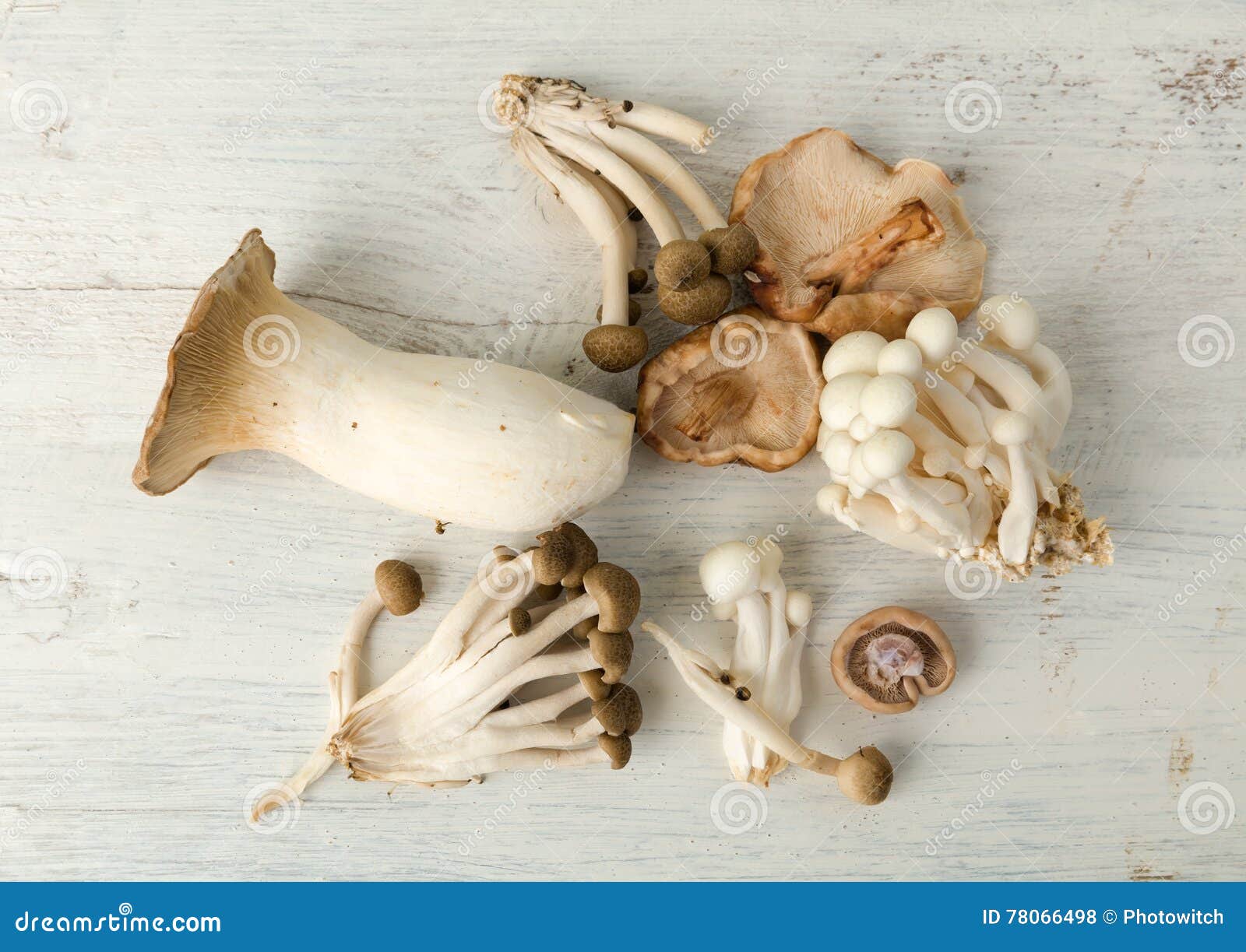Top View Assorted Mushrooms Stock Photo - Image of closeup, board: 78066498