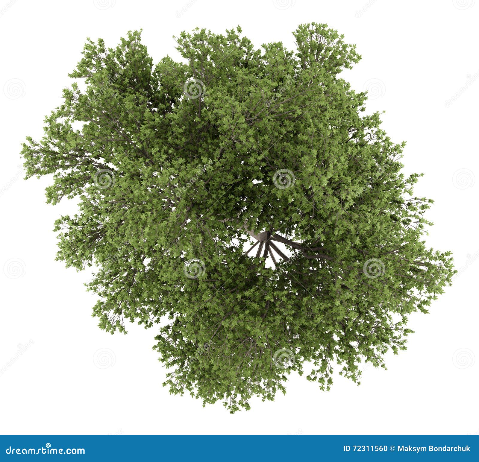 Austrian Cartoons, Illustrations & Vector Stock Images - 12707 Pictures ...