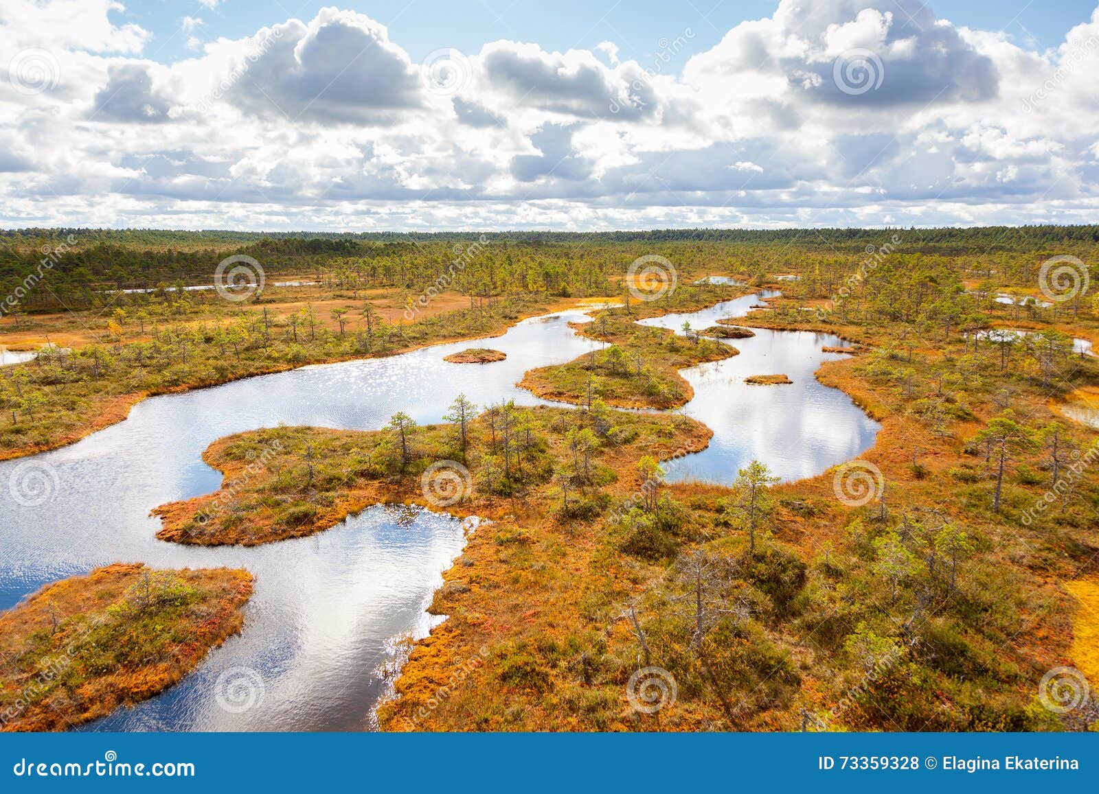Top View of Autumn Landscape. Huge Bog in Estonia Stock Photo - Image ...