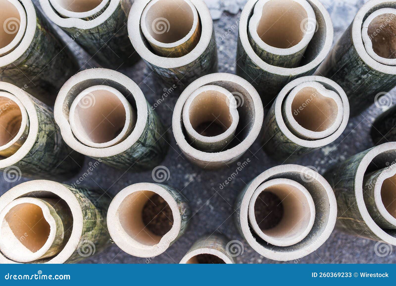 Top View of Bamboo Tree Material Standing on the Asphalt Ground in ...