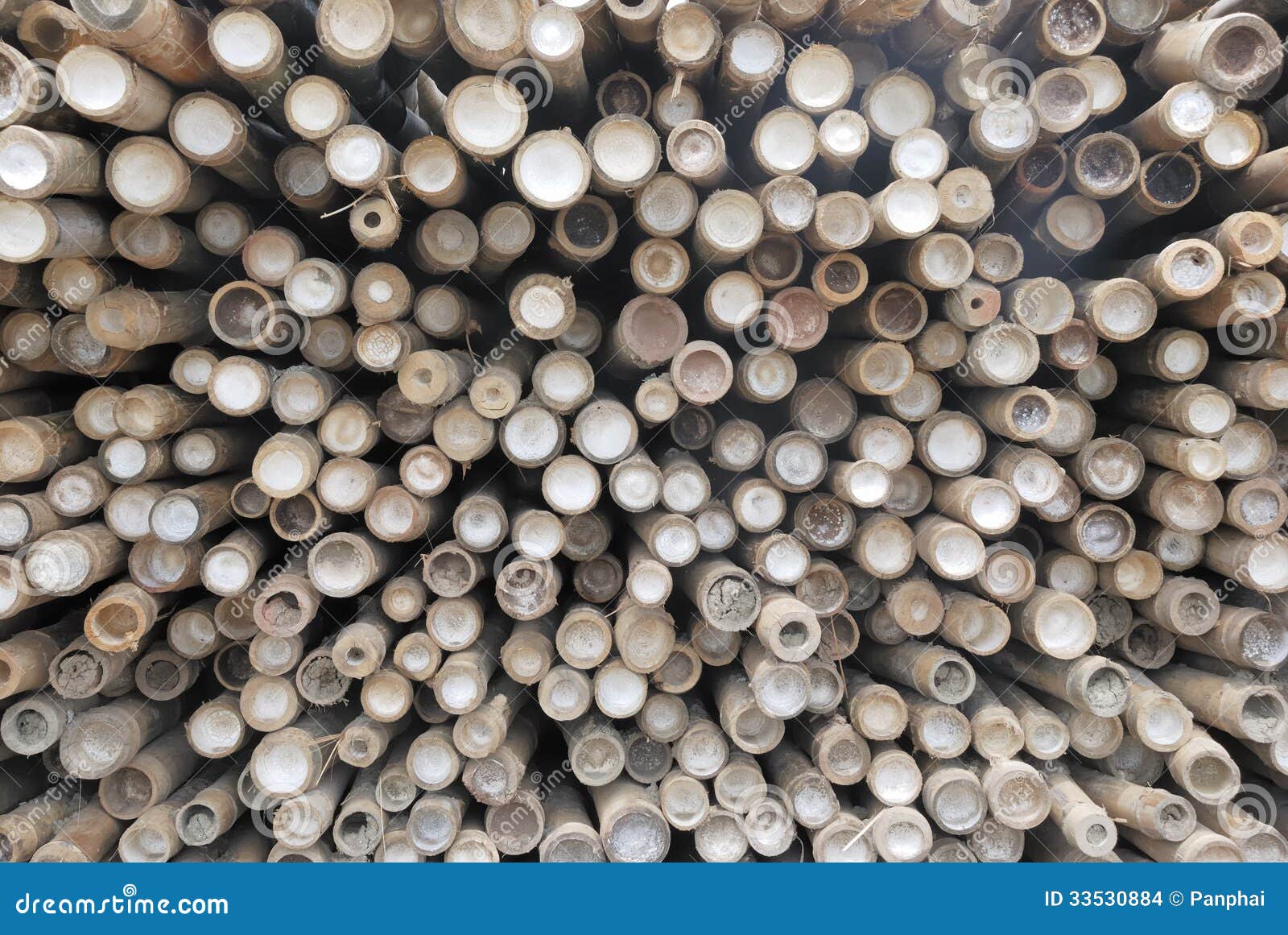 Top view of bamboos stem stock photo. Image of beauty - 33530884