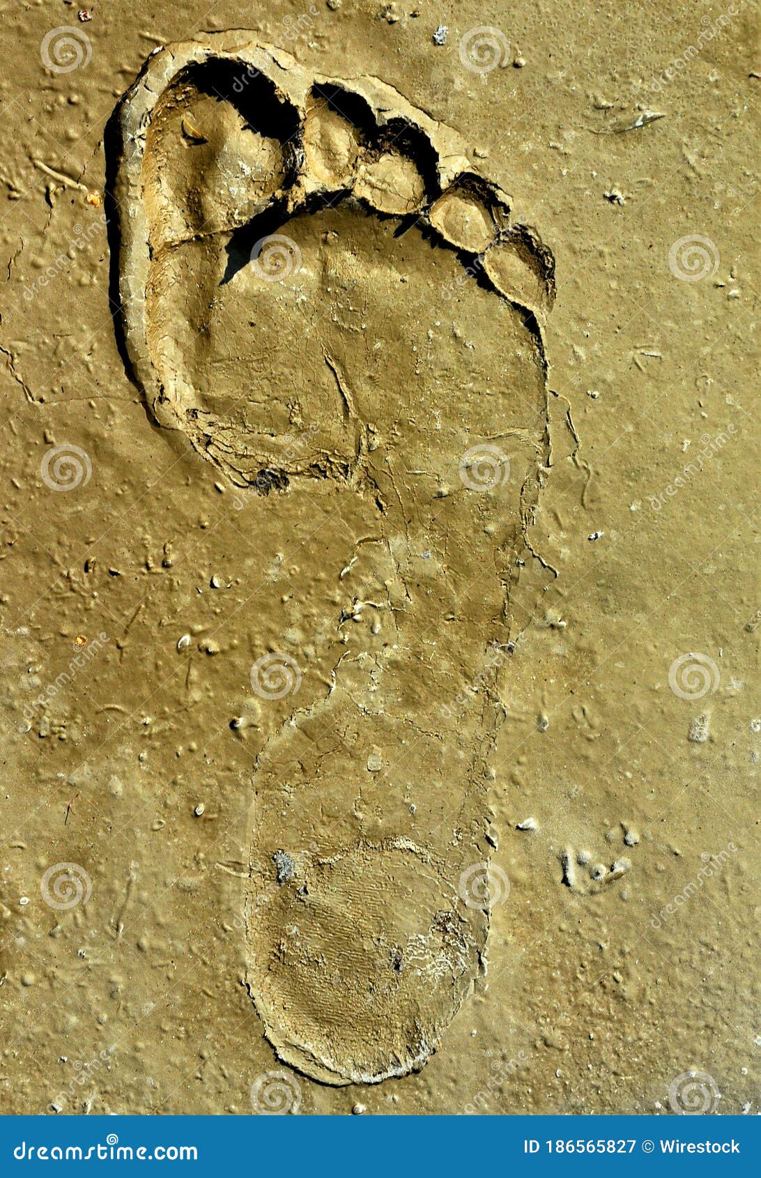 Top View of a Bare Footprint on a Mud Stock Image - Image of isolated ...