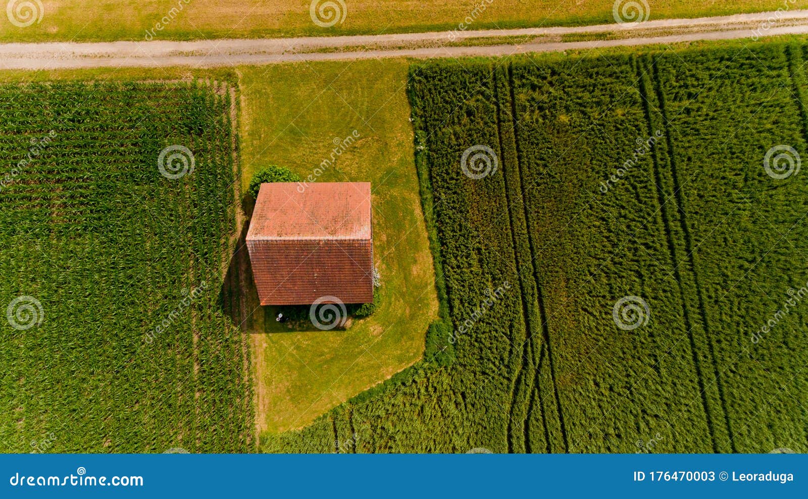 Top View on a Barn in the Field. Stock Image - Image of region ...