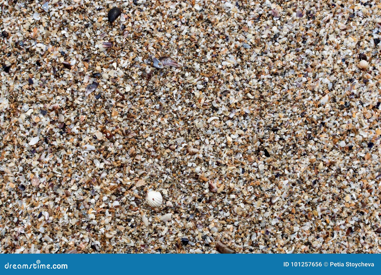 Top View of Beach Sand for Background and Texture. Summer Background ...