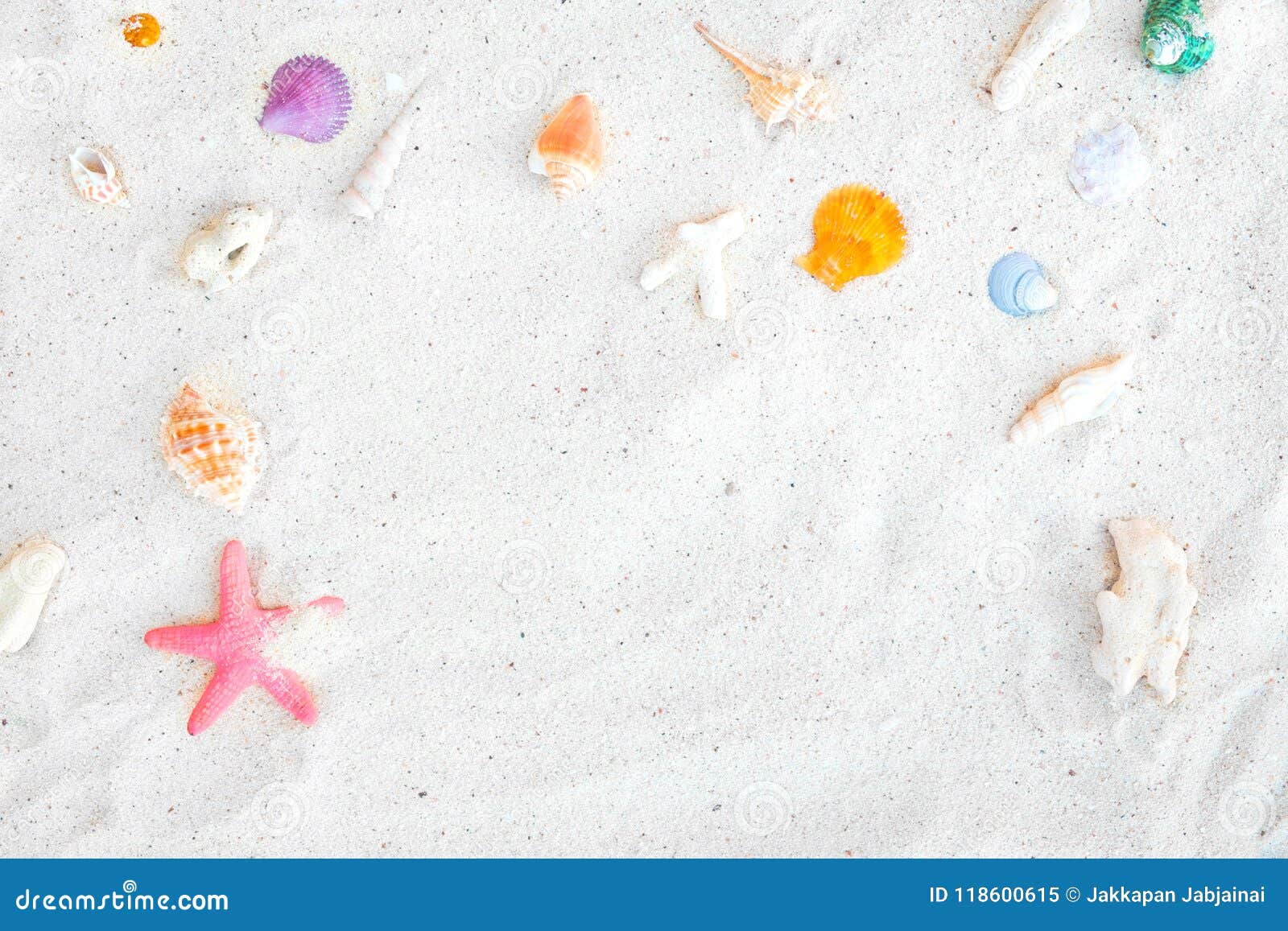Top View of Beach Sand with Shells and Starfish. Stock Image - Image of ...