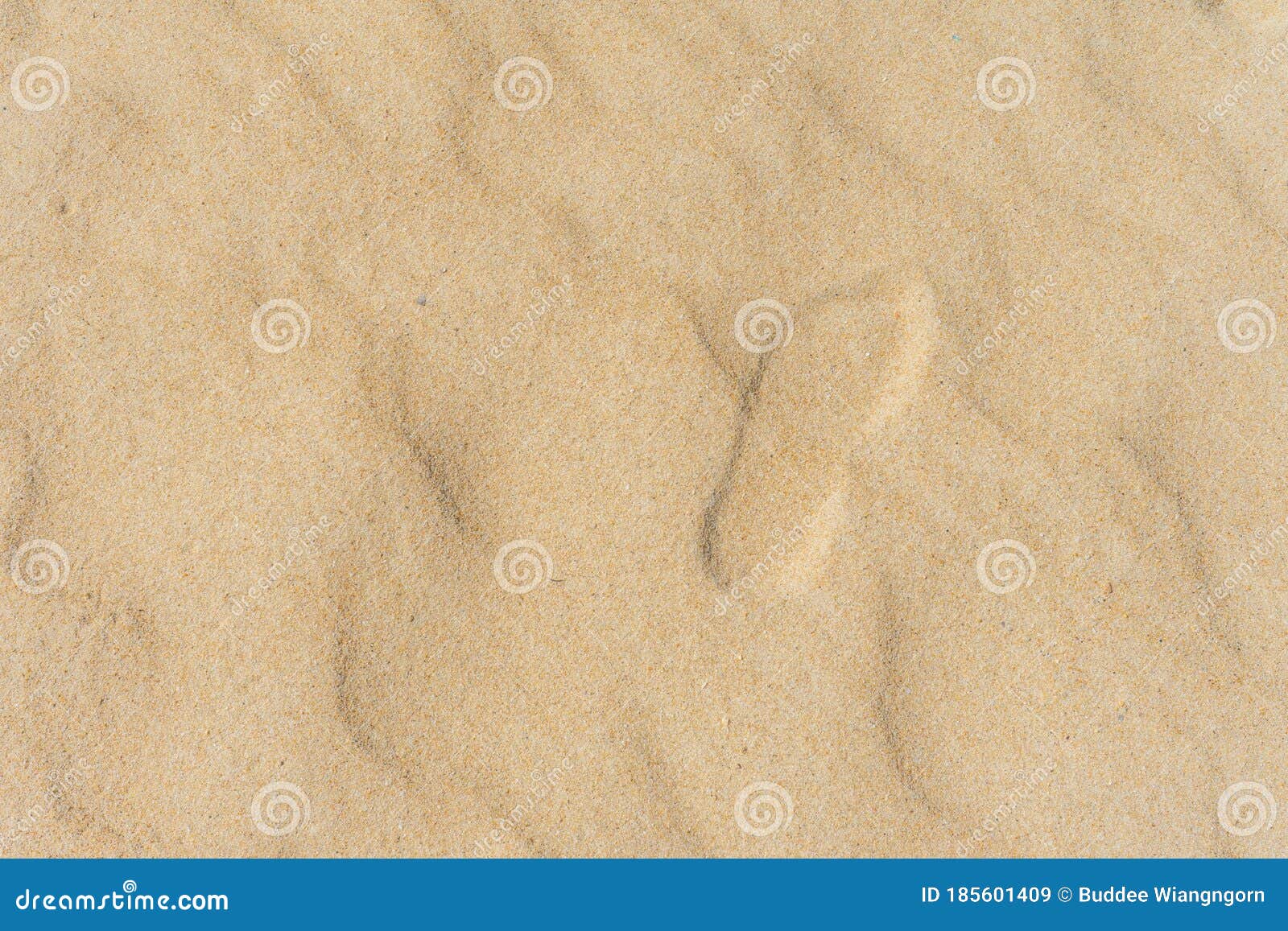 Top View of Beach Sand Texture in Summer Time. Stock Image - Image of ...