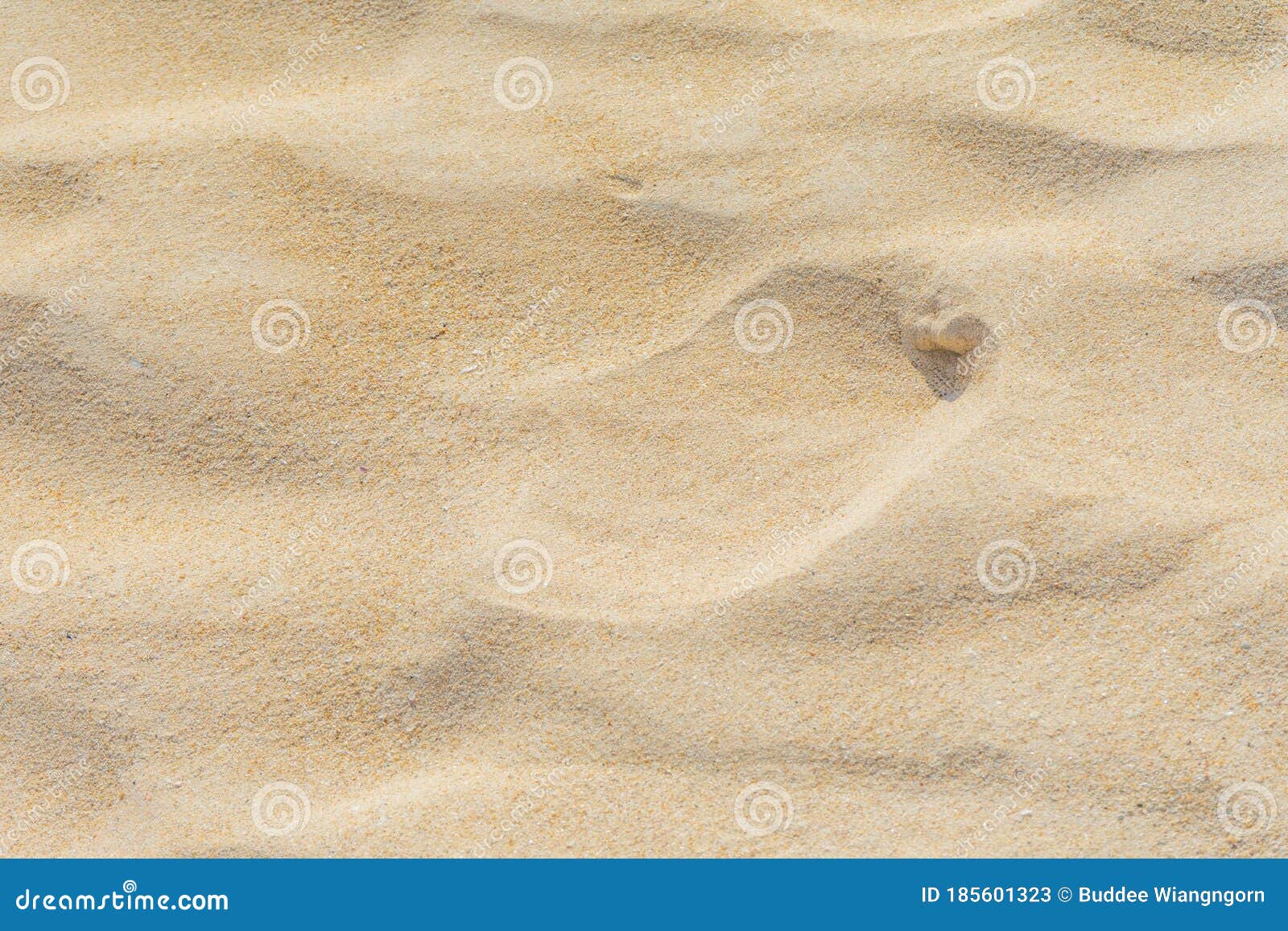 Top View of Beach Sand Texture. Stock Image - Image of ocean, coastline ...