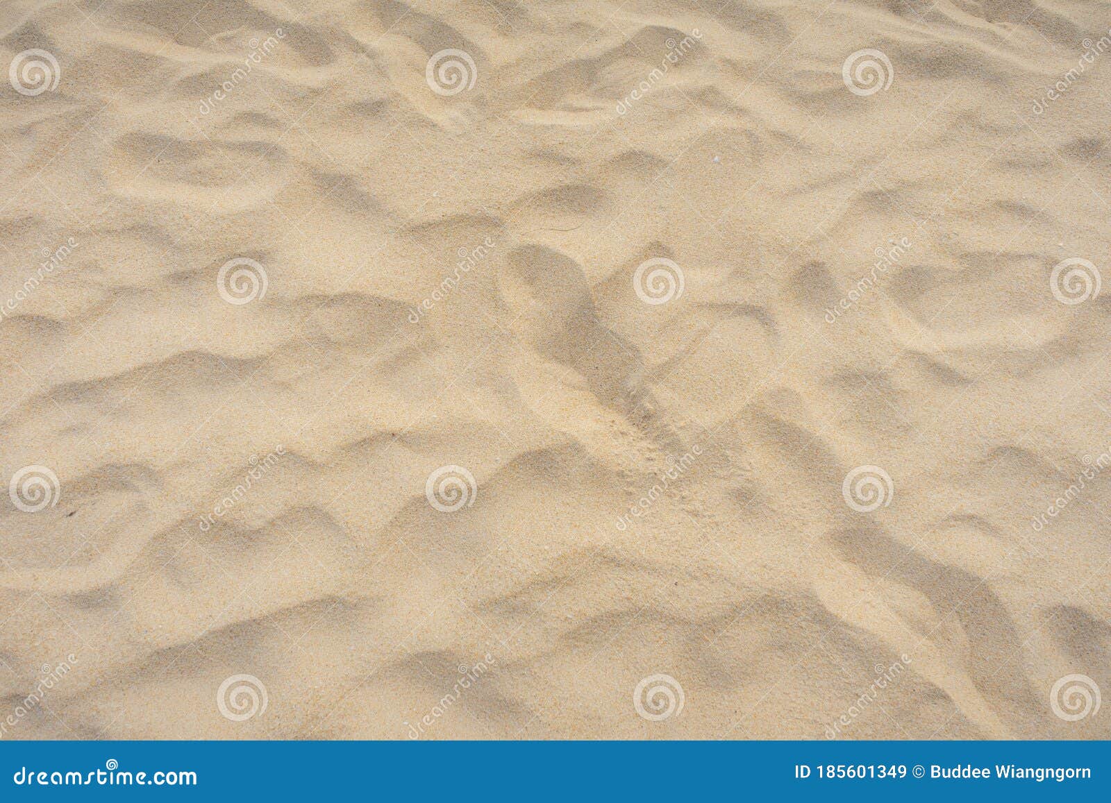 Top View of Beach Sand Texture. Stock Image - Image of ocean, coastline ...