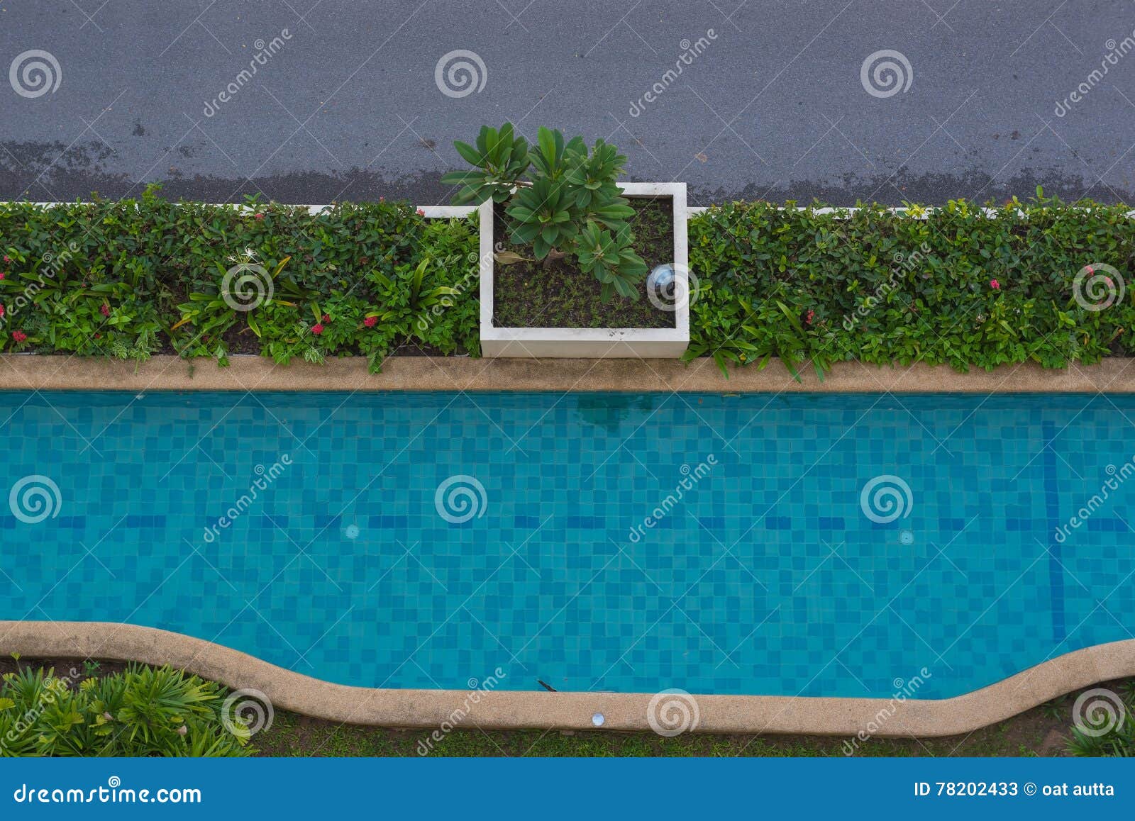 Top View Beautiful Blue Swimming Pool for Background. Stock Image ...