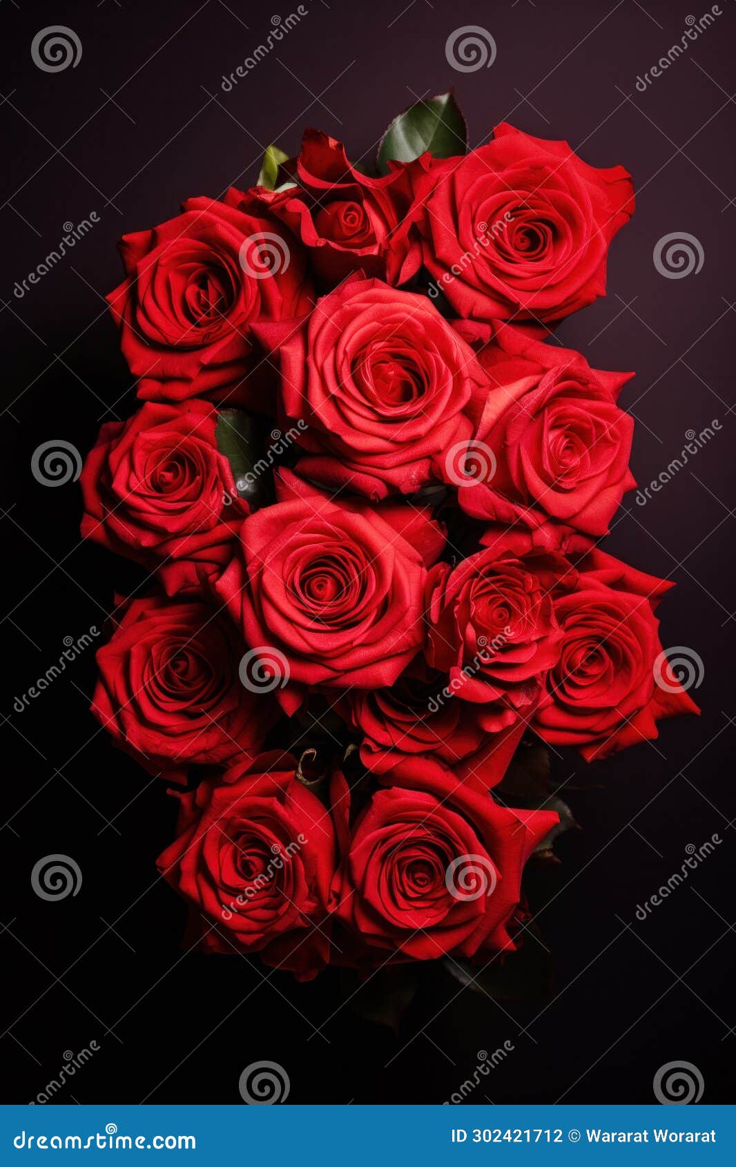 Top View of Beautiful Red Roses Stock Photo - Image of design ...
