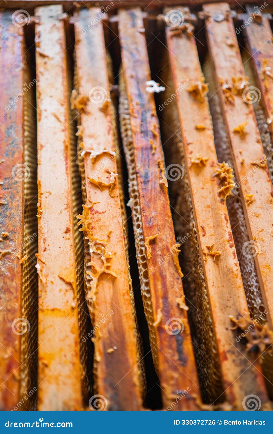 Top View Close Up of a Beehive with Wooden Frames Filled with ...
