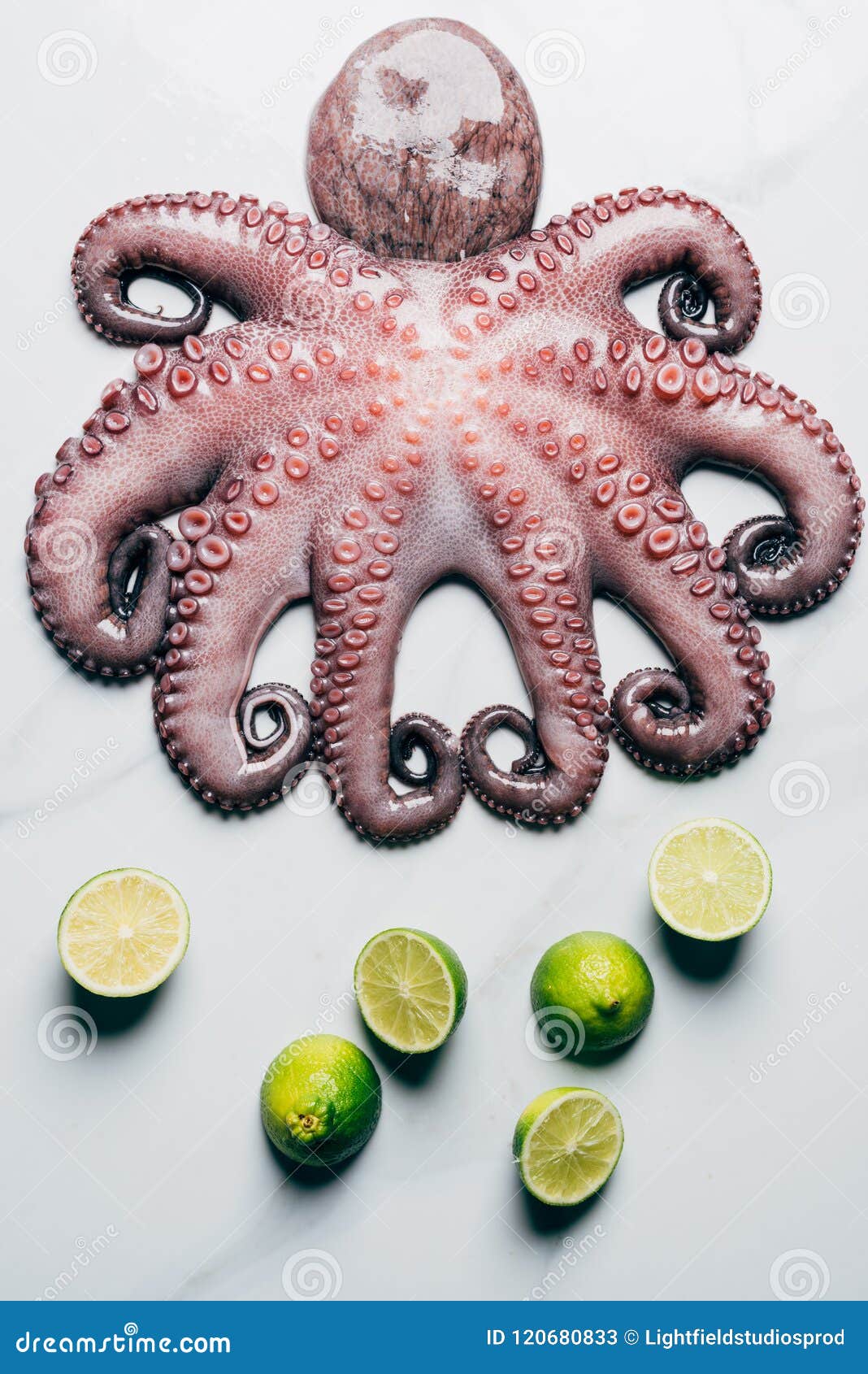 Top View of Big Octopus and Limes on Light Stock Image - Image of fresh ...