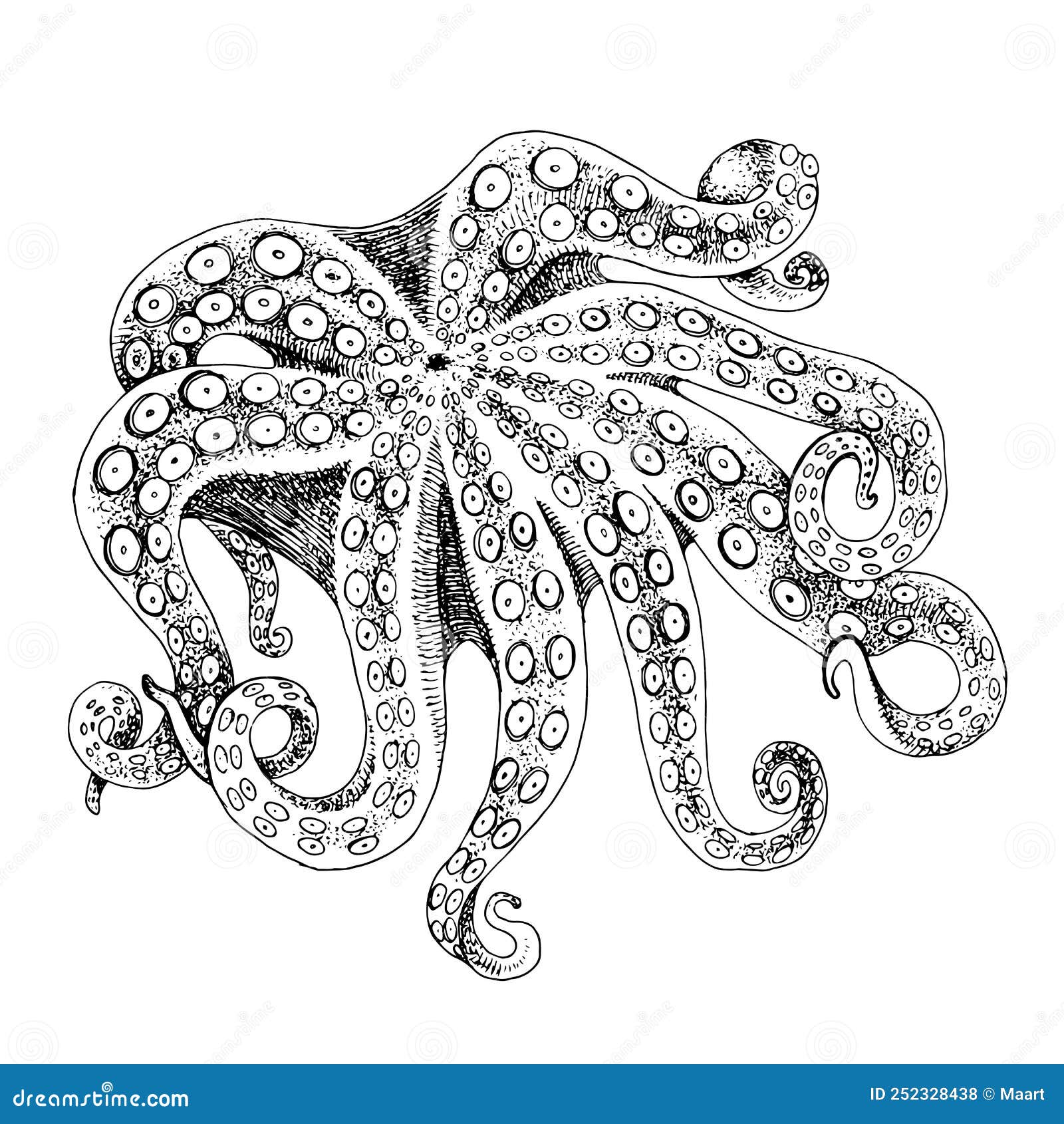 Top View of Big Raw Octopus. Seafood Stock Vector - Illustration of ...
