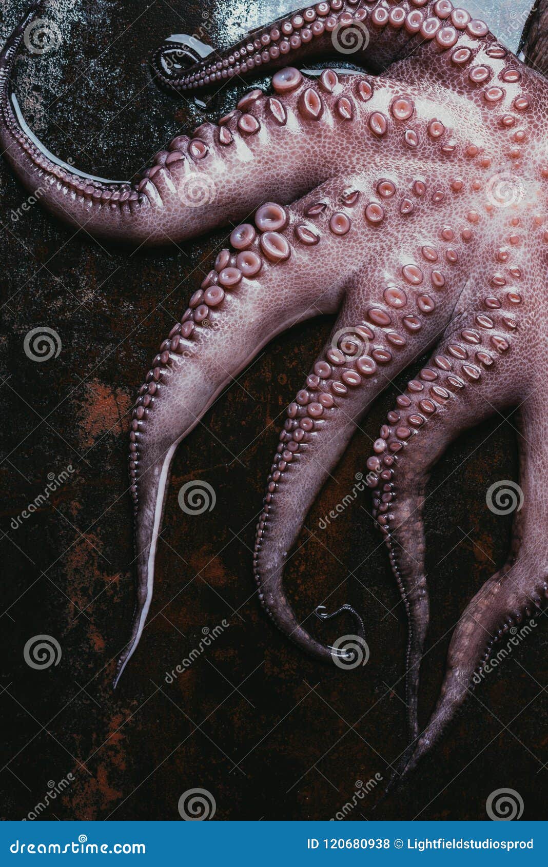 Top View of Big Raw Octopus Tentacles on Rusty Stock Photo - Image of ...